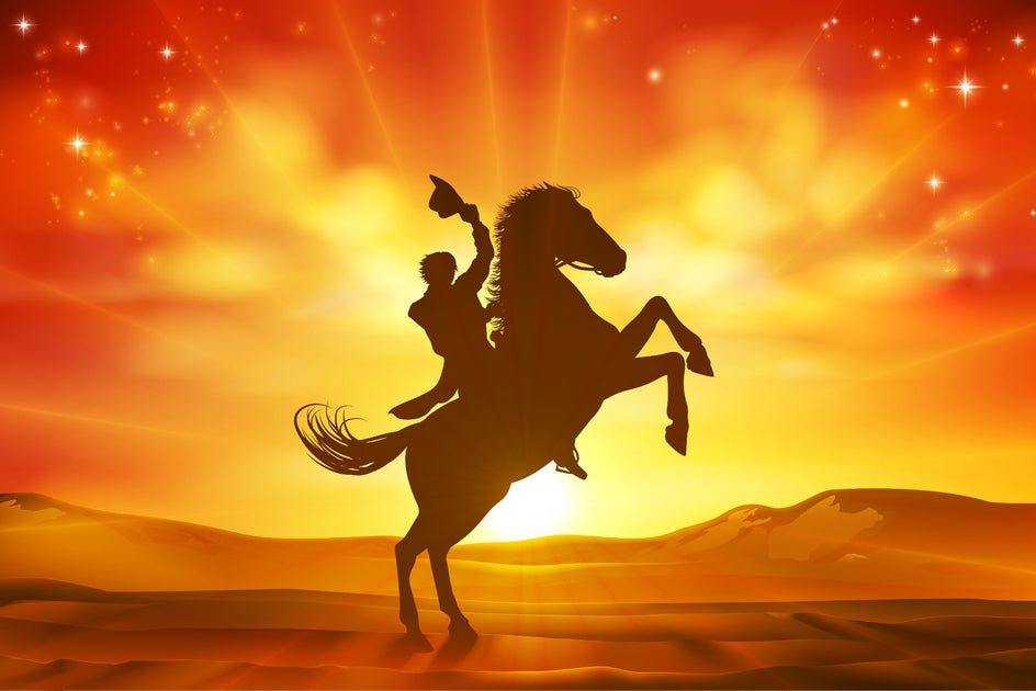 Howdy Y'all | Montoya Marching Music
